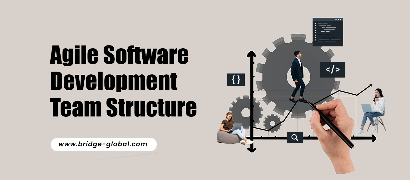 Agile Software Development Team Structure