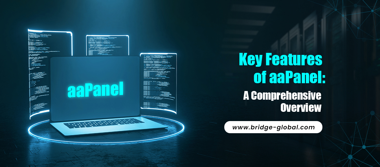 aaPanel: A Comprehensive Overview