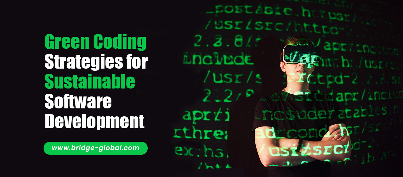 Defining the Landscape of Sustainable Software Development