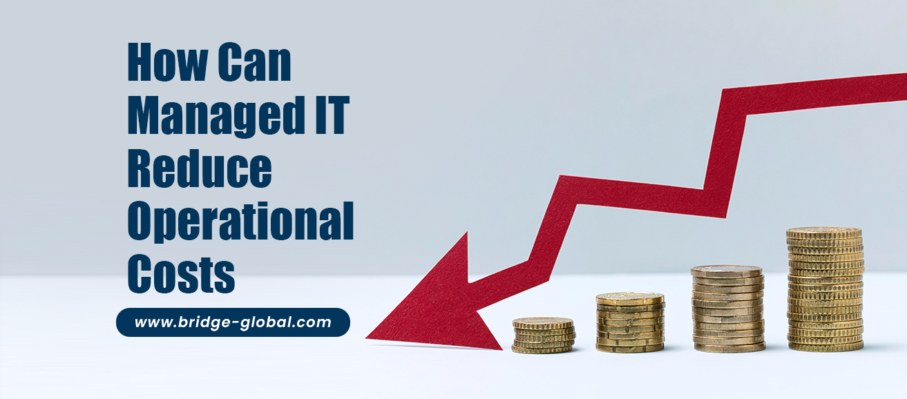 10 Ways Managed IT Can Reduce Your Operational Costs 10 Ways Managed IT Can Reduce Your Operational Costs